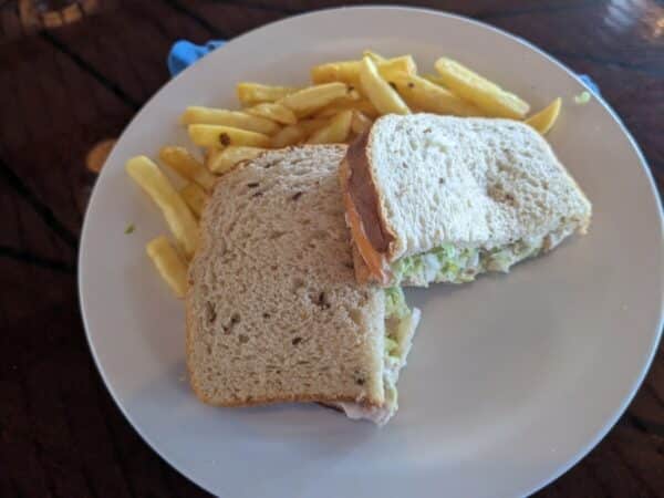 Ultimate Guide To Carnival Deli Sandwiches For New Cruisers ...