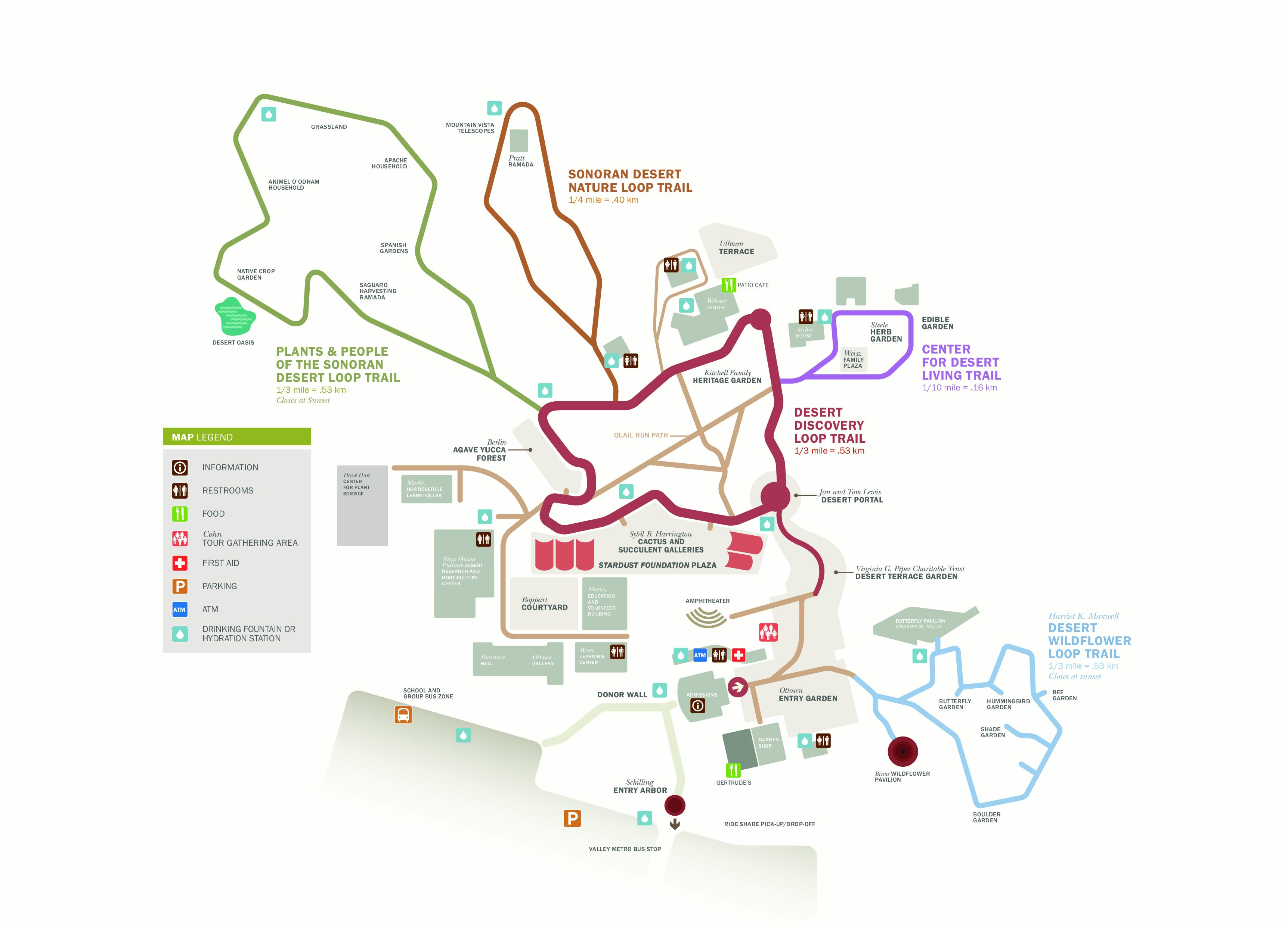 Desert Botanical Garden: a beautiful oasis in the Senoran Desert ...