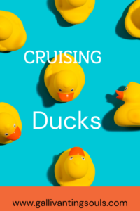Cruising Ducks: Everything You Wanted To Know 2024 | Gallivanting Souls