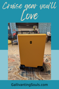 8 Cruise Gear Items You Love To Pack In 2024 | Gallivanting Souls