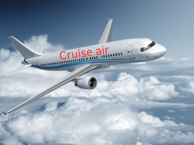 What Happens When You Cruise Leaves Without You?