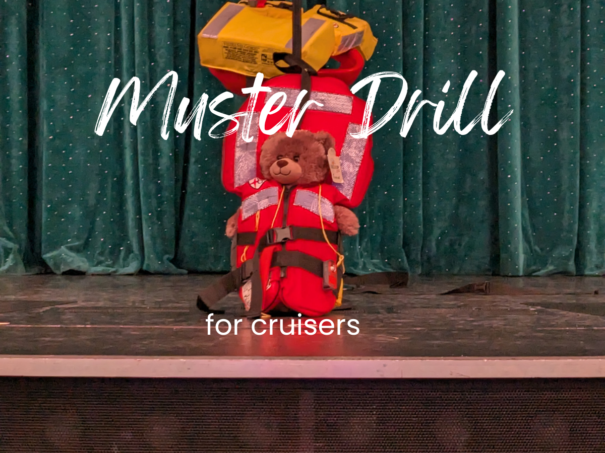 E-Muster On Carnival: A Faster, Easier Way To Stay Safe At Sea